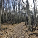 Abyss Trail to Helms Lake, Colorado - 2,207 Reviews, Map | AllTrails