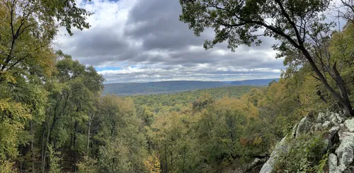 Best Hikes and Trails in Muir | AllTrails