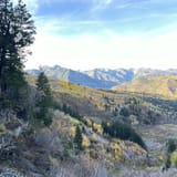 Scout Falls via Mount Timpanogos Trail, Utah - 2,155 Reviews, Map ...
