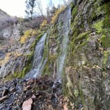 Scout Falls via Mount Timpanogos Trail, Utah - 2,155 Reviews, Map ...
