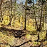 Tibble Fork Loop Trail, Utah - 734 Reviews, Map | AllTrails