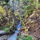 Tibble Fork Loop Trail, Utah - 734 Reviews, Map | AllTrails