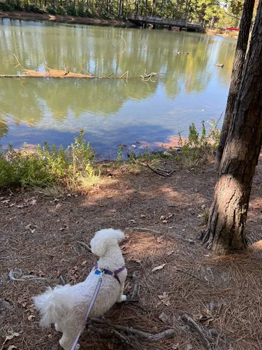 Best Hikes and Trails in Conner Park | AllTrails