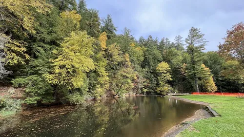 10 Best Hikes and Trails in Cook Forest State Park | AllTrails