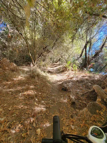 2023 Best Trail Running Trails in Ripon | AllTrails