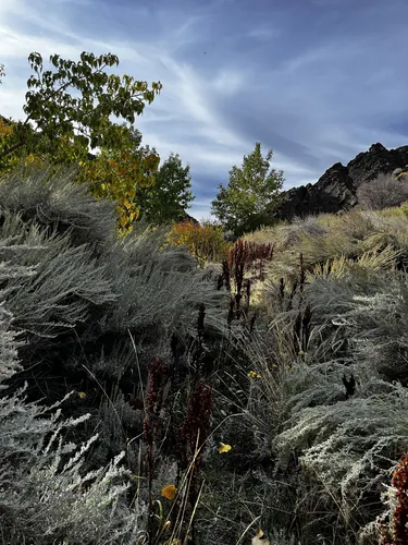 Best Hikes and Trails in Santa Rosa-Paradise Peak Wilderness | AllTrails