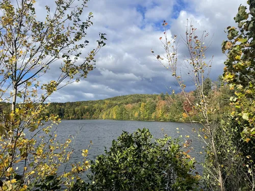 10 Best Hikes and Trails in Naugatuck State Forest | AllTrails