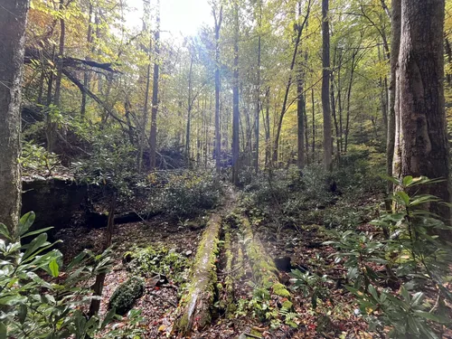 Best Hikes and Trails in High Knob Recreation Area | AllTrails