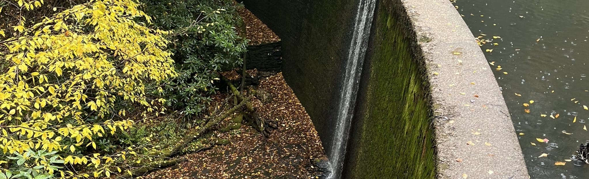 Chief Benge Scout Trail: High Knob to Black Hill, Virginia - 19 Reviews ...