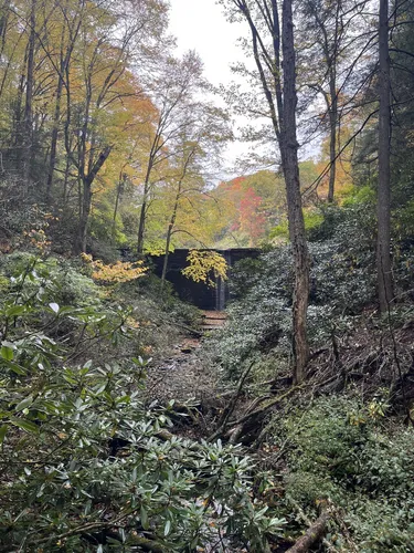 Best Hikes and Trails in High Knob Recreation Area | AllTrails