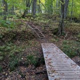 Sable Falls Trail, Michigan - 538 Reviews, Map | AllTrails