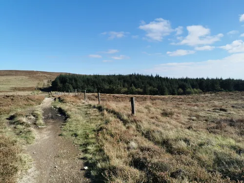Bästa vandringarna och lederna i Ravensdale Forest | AllTrails