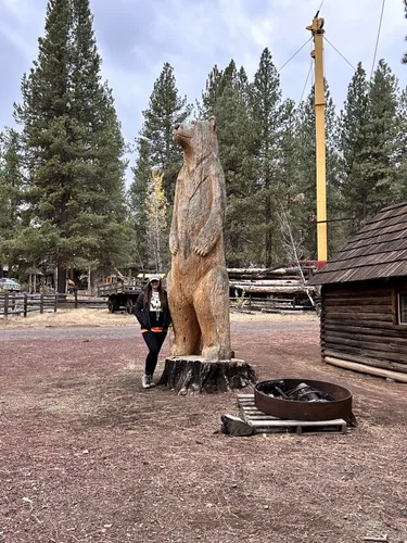 Best Hikes and Trails in Collier Memorial State Park | AllTrails