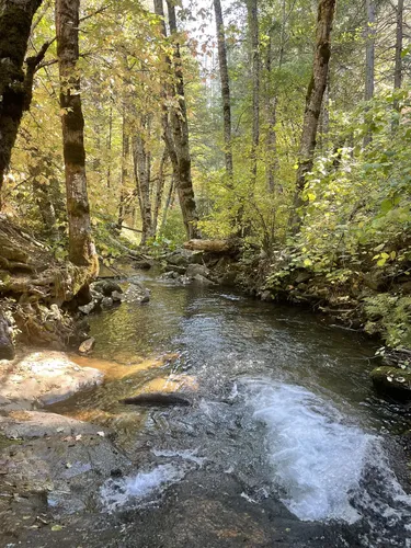 10 Best Trails and Hikes in Oakhurst | AllTrails