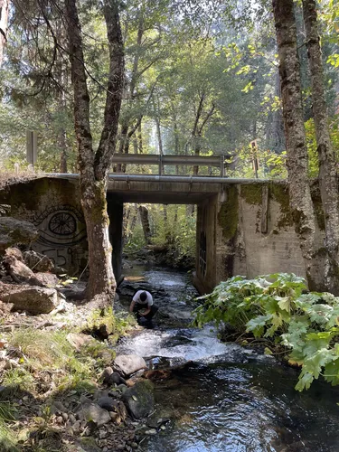 Best Off Road Driving Trails in Oakhurst | AllTrails
