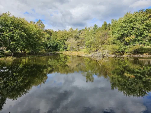 2023 Best Child Friendly Trails in Calvert Cliffs State Park | AllTrails