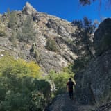 Packsaddle Cave Trail, California - 528 Reviews, Map | AllTrails