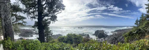 10 Best Trails and Hikes in Ucluelet | AllTrails