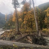 Baker River Trail, Washington - 237 Reviews, Map | AllTrails