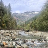 Baker River Trail, Washington - 237 Reviews, Map | AllTrails