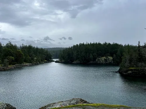 2023 Best Views Trails in Secret Cove | AllTrails