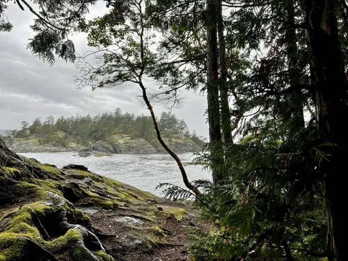 2023 Best Views Trails in Secret Cove | AllTrails