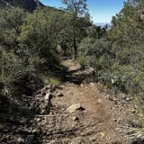 Basin Loop Trail, Texas - 931 Reviews, Map | AllTrails