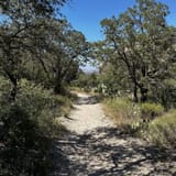 Basin Loop Trail, Texas - 931 Reviews, Map | AllTrails