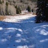 Desolation Lake via Mill D North Fork and Desolation Trail, Utah ...