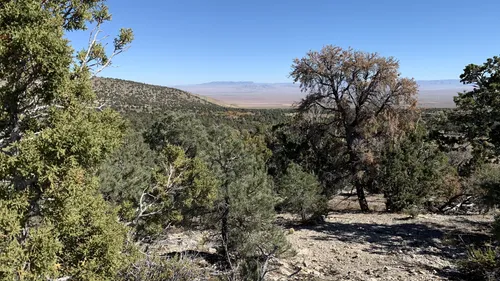 10 Best Hikes and Trails in Great Basin National Park | AllTrails