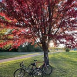 Rock River Recreation Path, Illinois - 70 Reviews, Map | AllTrails