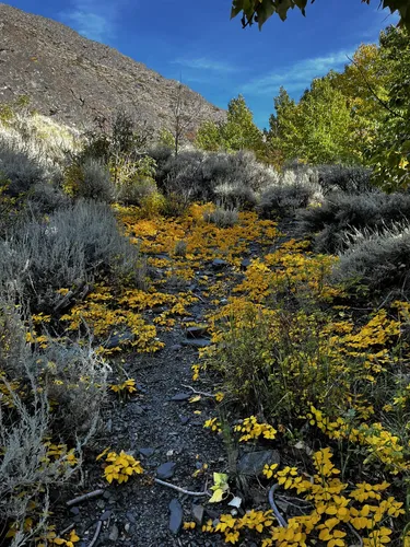 Best Hikes and Trails in Santa Rosa-Paradise Peak Wilderness | AllTrails