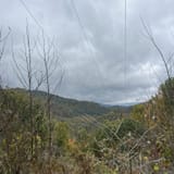 Compression Falls Trail, North Carolina - 384 Reviews, Map | AllTrails