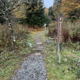 Massie Gap and Wilburn Ridge Loop, Virginia - 880 Reviews, Map | AllTrails