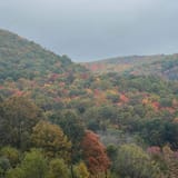 Massie Gap and Wilburn Ridge Loop, Virginia - 880 Reviews, Map | AllTrails