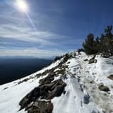 Mount Scott Trail, Oregon - 1,305 Reviews, Map | AllTrails
