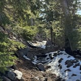 Mount Scott Trail, Oregon - 1,305 Reviews, Map | AllTrails