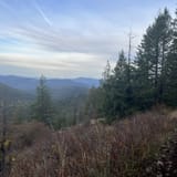 Blacktail Mountain Trail, Idaho - 53 Reviews, Map | AllTrails
