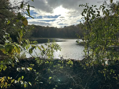 Best Hikes and Trails in Bear Swamp | AllTrails
