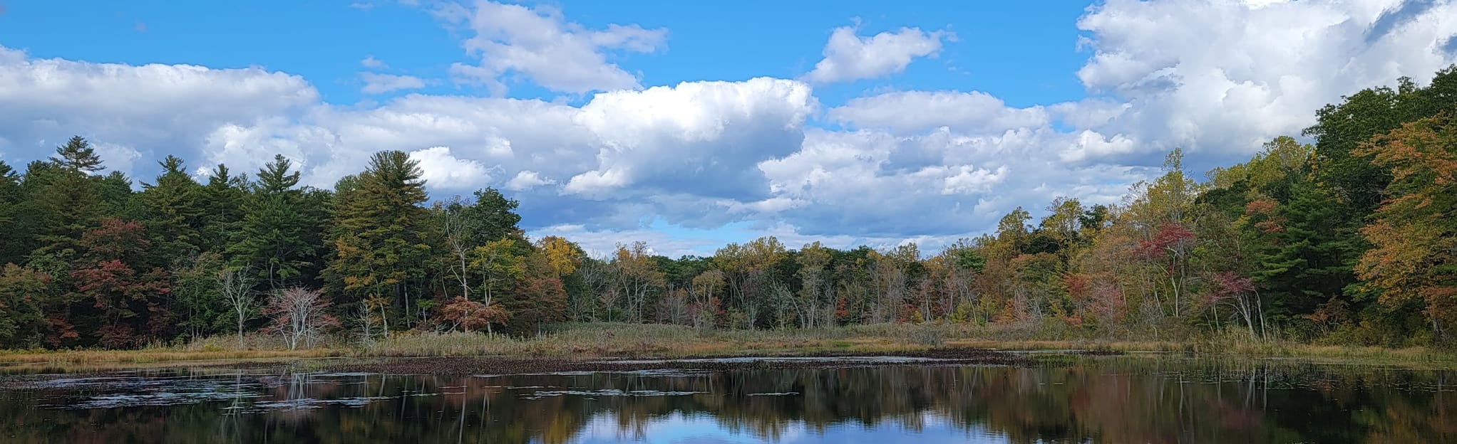 North South Trail, Wood River Junction and Exeter, Rhode Island - 101 ...