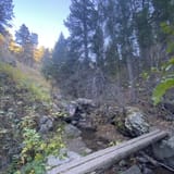 Beaver Brook Trail, Colorado - 1,323 Reviews, Map | AllTrails