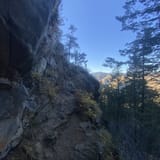 Beaver Brook Trail, Colorado - 1,323 Reviews, Map | AllTrails