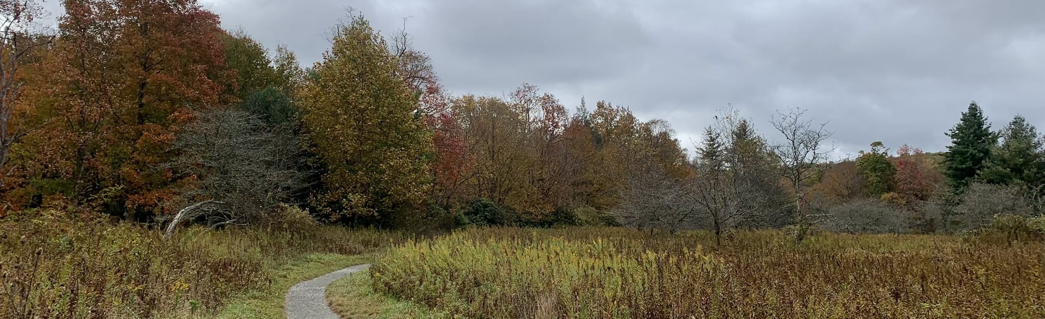 Boone Fork Trail, North Carolina - 3,142 Reviews, Map | AllTrails