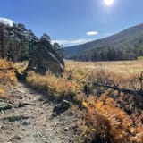 Cub Lake Trail, Colorado - 1,327 Reviews, Map | AllTrails