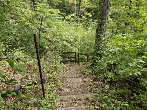 Best Hikes and Trails in Governor Bebb MetroPark | AllTrails