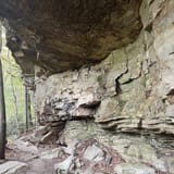 Prospector Trail, Virginia - 76 Reviews, Map | AllTrails