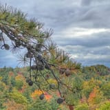 Rock Dunder, Ontario, Canada - 1,124 Reviews, Map | AllTrails