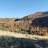 Ghost Falls via Lower Corner Canyon Trail, Utah - 792 Reviews, Map ...