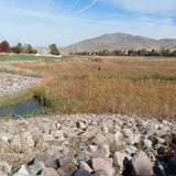 Damonte Ranch Wetland Loop, Nevada - 1,123 Reviews, Map | AllTrails