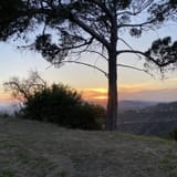 Brush Canyon Trail and Mount Bell Loop, California - 374 Reviews, Map ...